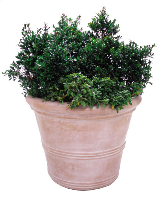 #1891 Tre Righe Pot – Extra Large – Florence & New Italian Art Company